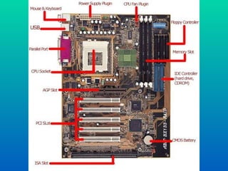 Central processing unit | PPT