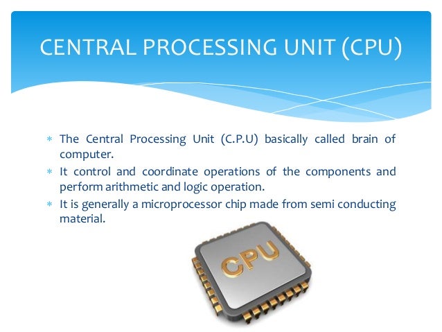 Central processing unit (CPU)