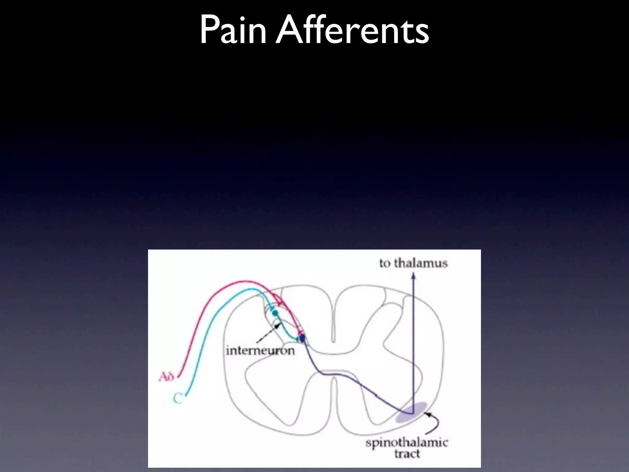 Central Sensitization In Chronic Pain | KEY