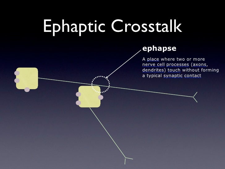 Central Sensitization In Chronic Pain