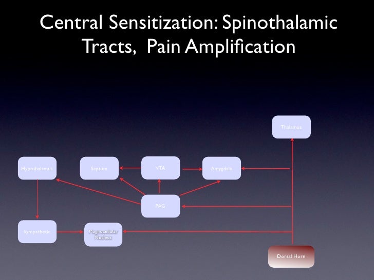 Central Sensitization In Chronic Pain