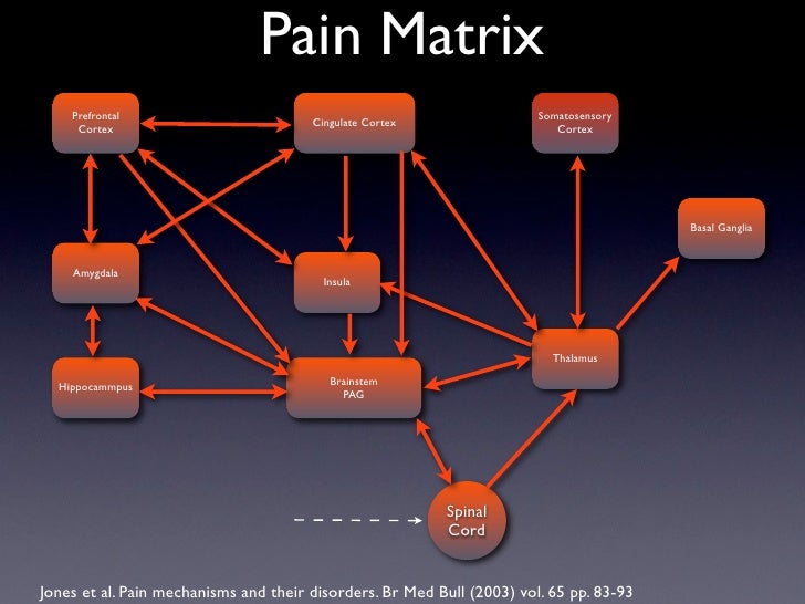 Central Sensitization In Chronic Pain
