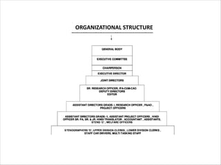 CENTRAL SOCIAL WELFARE BOARD.pdf