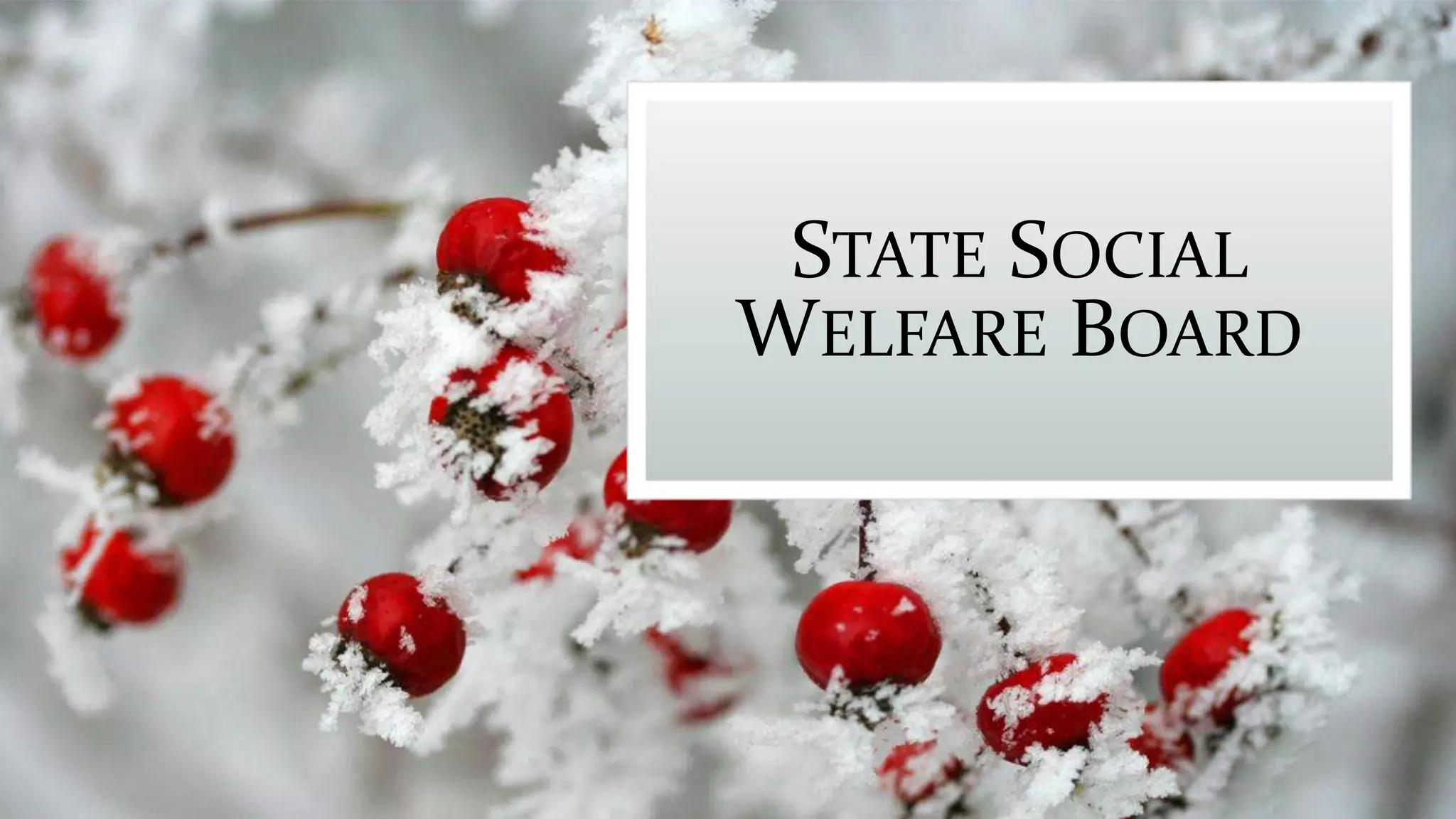 Central & State Social Welfare Board | PPTX