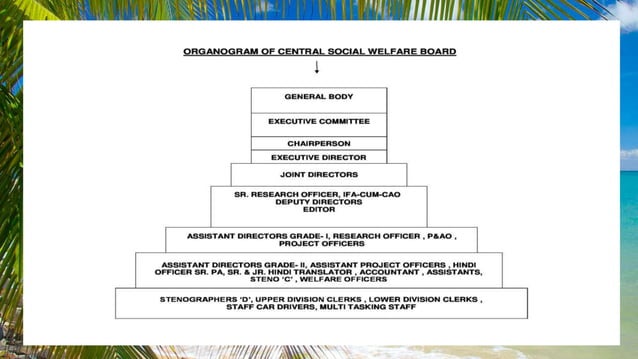 Central & State Social Welfare Board | PPTX