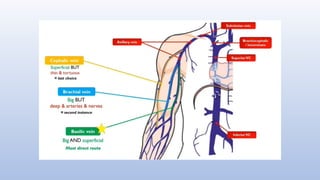 Central venous access devices all you need to know | PPTX