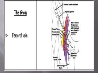 CENTRAL VENOUS CATHETER | PPTX