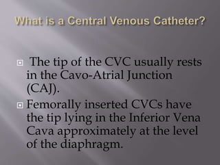 CENTRAL VENOUS CATHETER | PPT