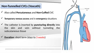 central venous lines and catheters .pptx