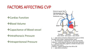 CENTRAL VENOUS PRESSURE.pptx