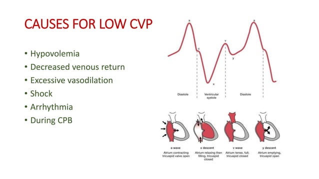 CENTRAL VENOUS PRESSURE.pptx