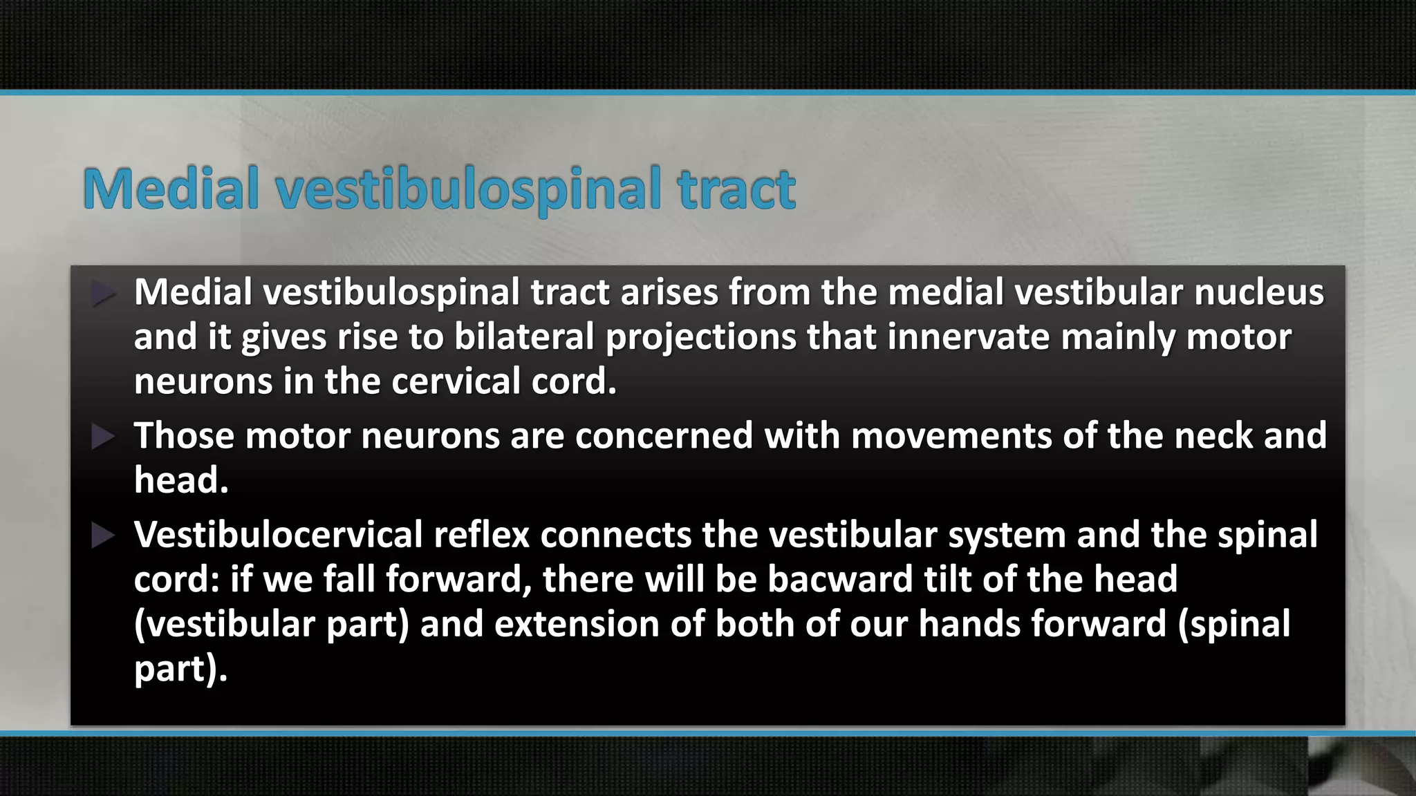 Central vestibular processing | PPSX