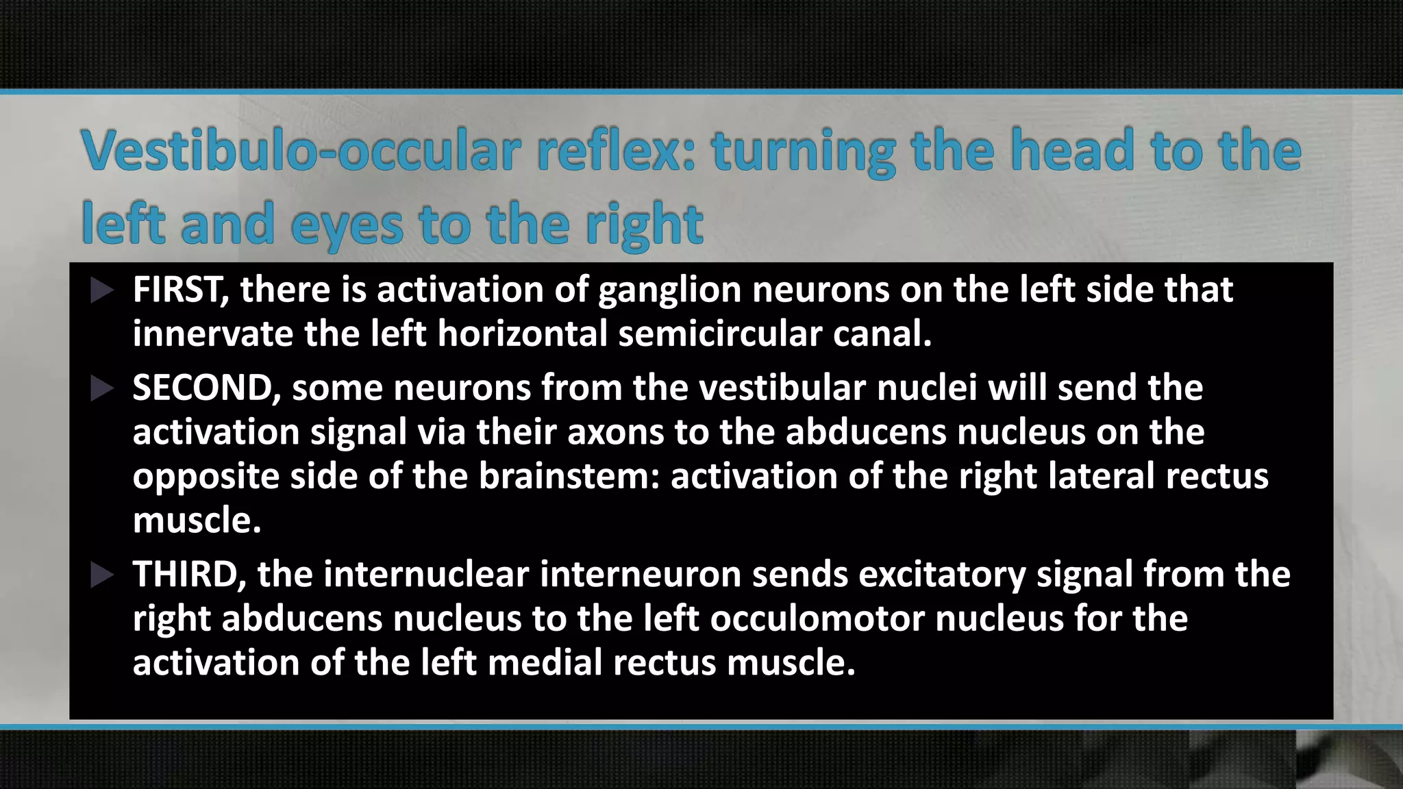 Central vestibular processing | PPSX