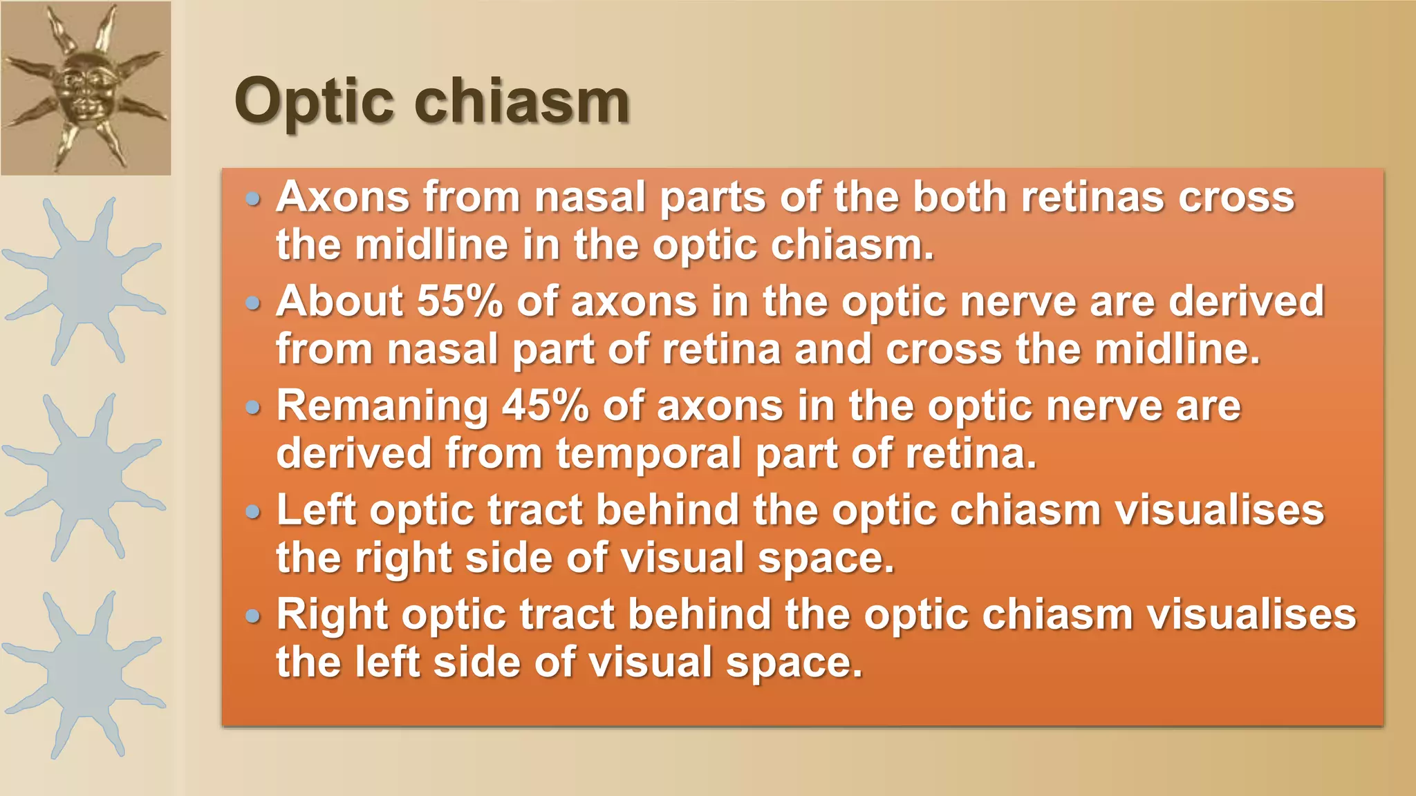 Central visual pathways | PPSX | Eye and Vision Conditions | Diseases ...