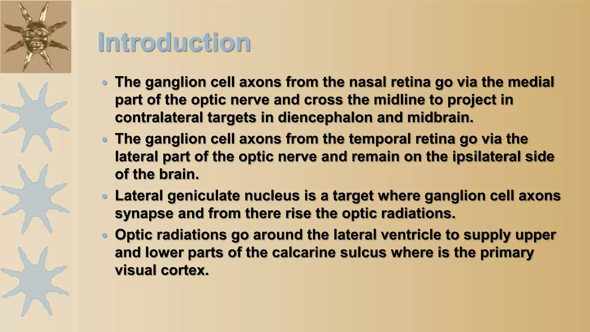 Central visual pathways | PPSX | Eye and Vision Conditions | Diseases ...