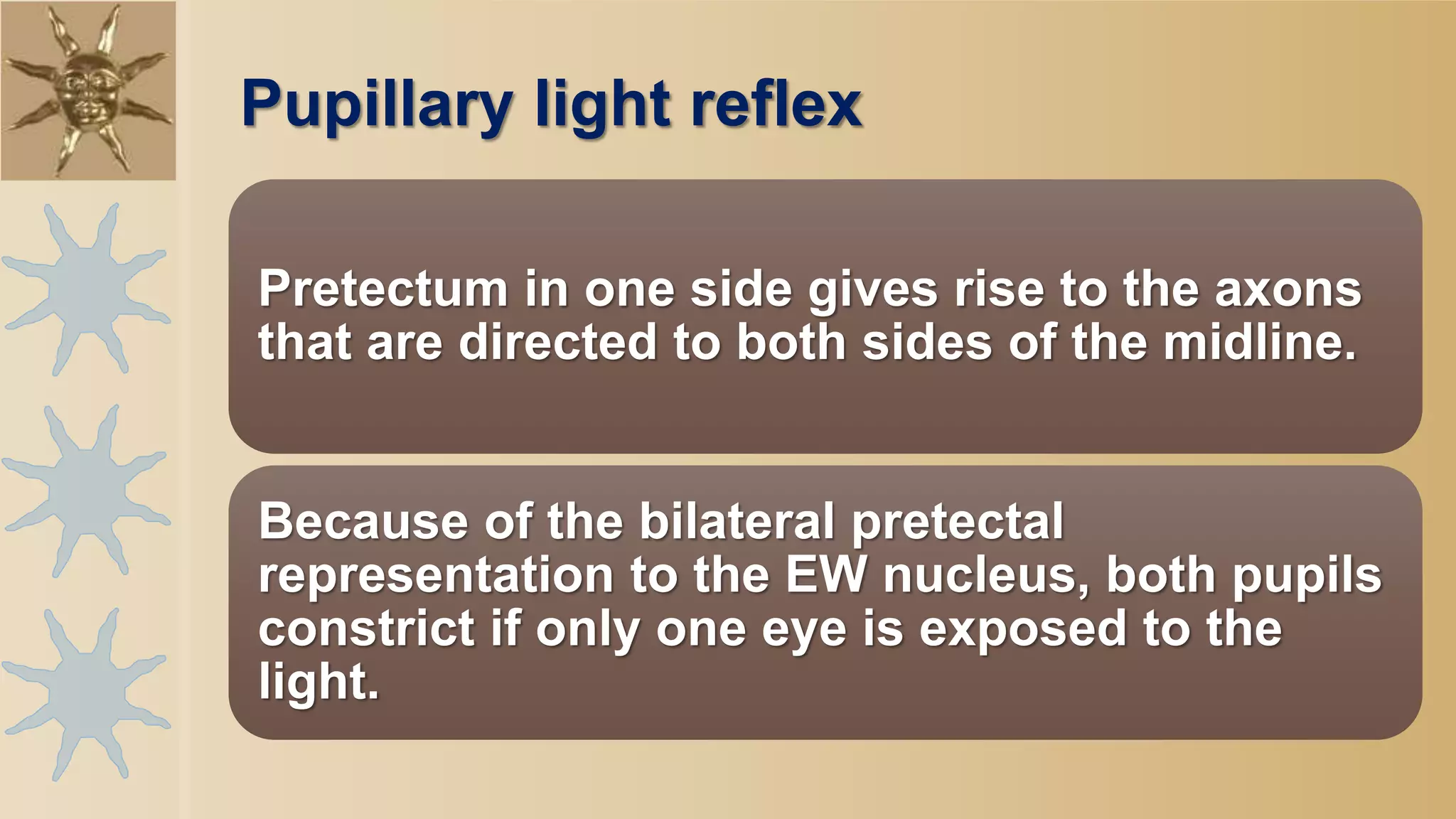 Central visual pathways | PPSX | Eye and Vision Conditions | Diseases ...