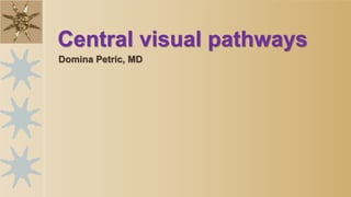Central visual pathways | PPSX | Eye and Vision Conditions | Diseases ...