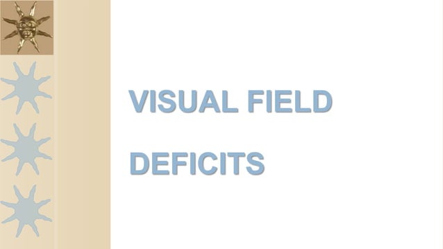 Central visual pathways | PPT