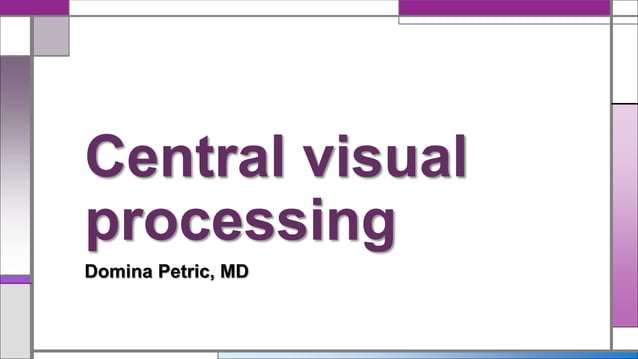 Central visual processing | PPSX | Eye and Vision Conditions | Diseases ...