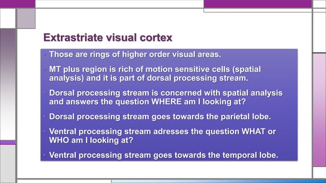 Central visual processing | PPSX | Eye and Vision Conditions | Diseases ...