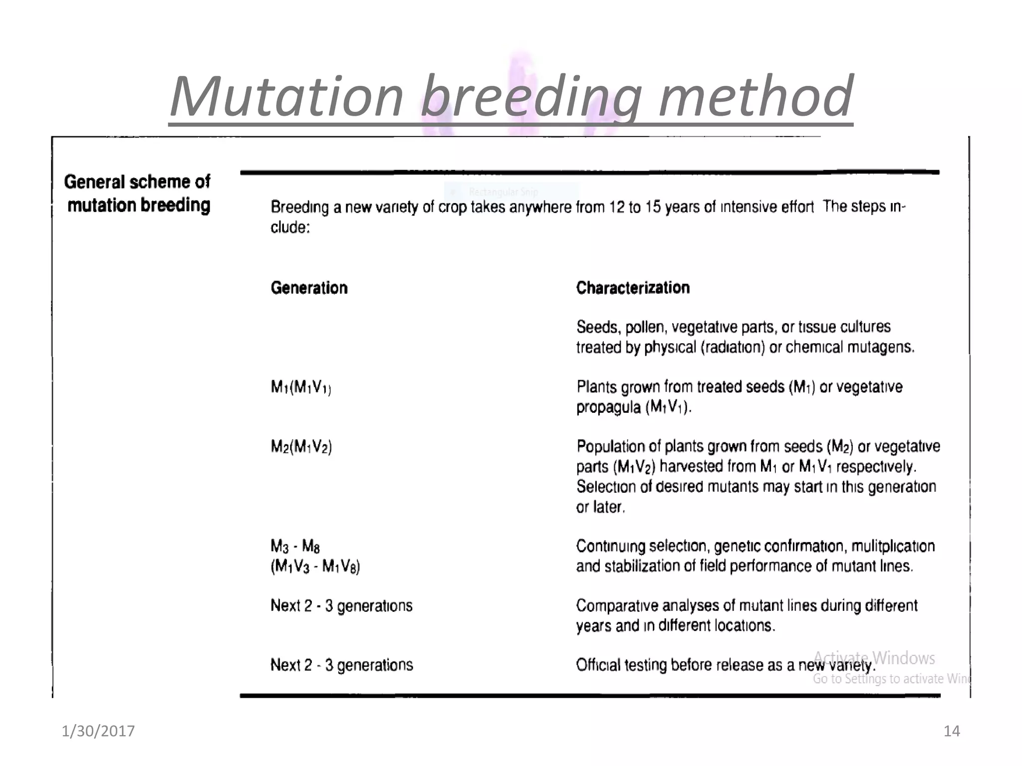 MUTATION BREEDING - A NEW ERA OF SCIENCE | PPT