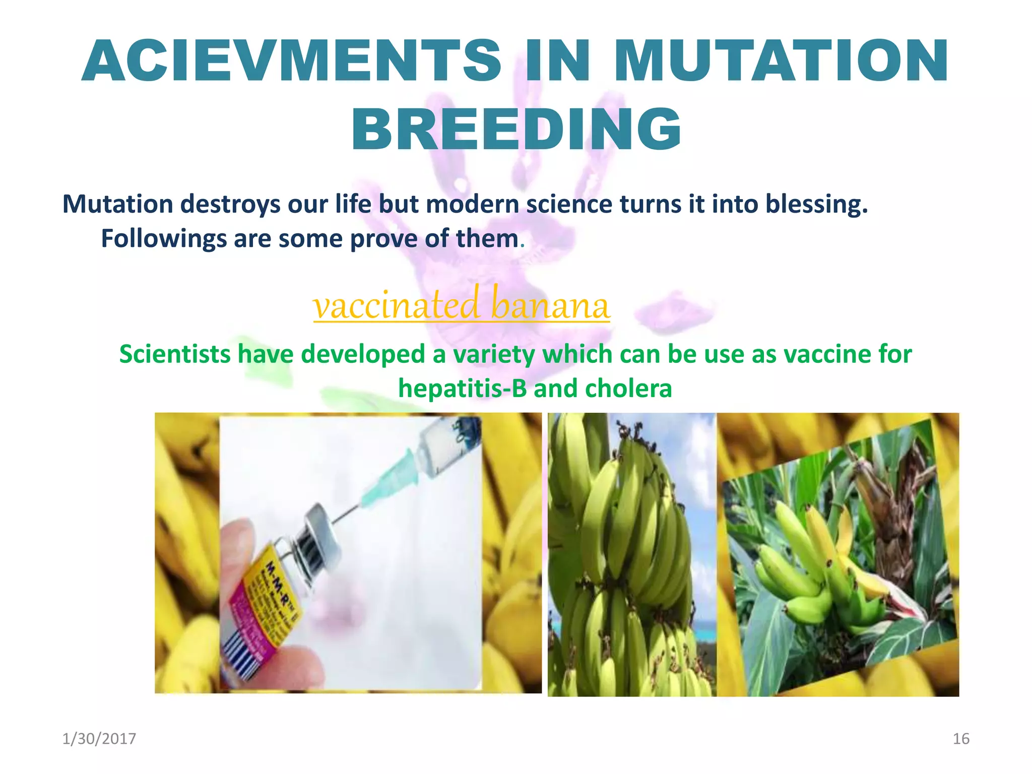 MUTATION BREEDING - A NEW ERA OF SCIENCE | PPT