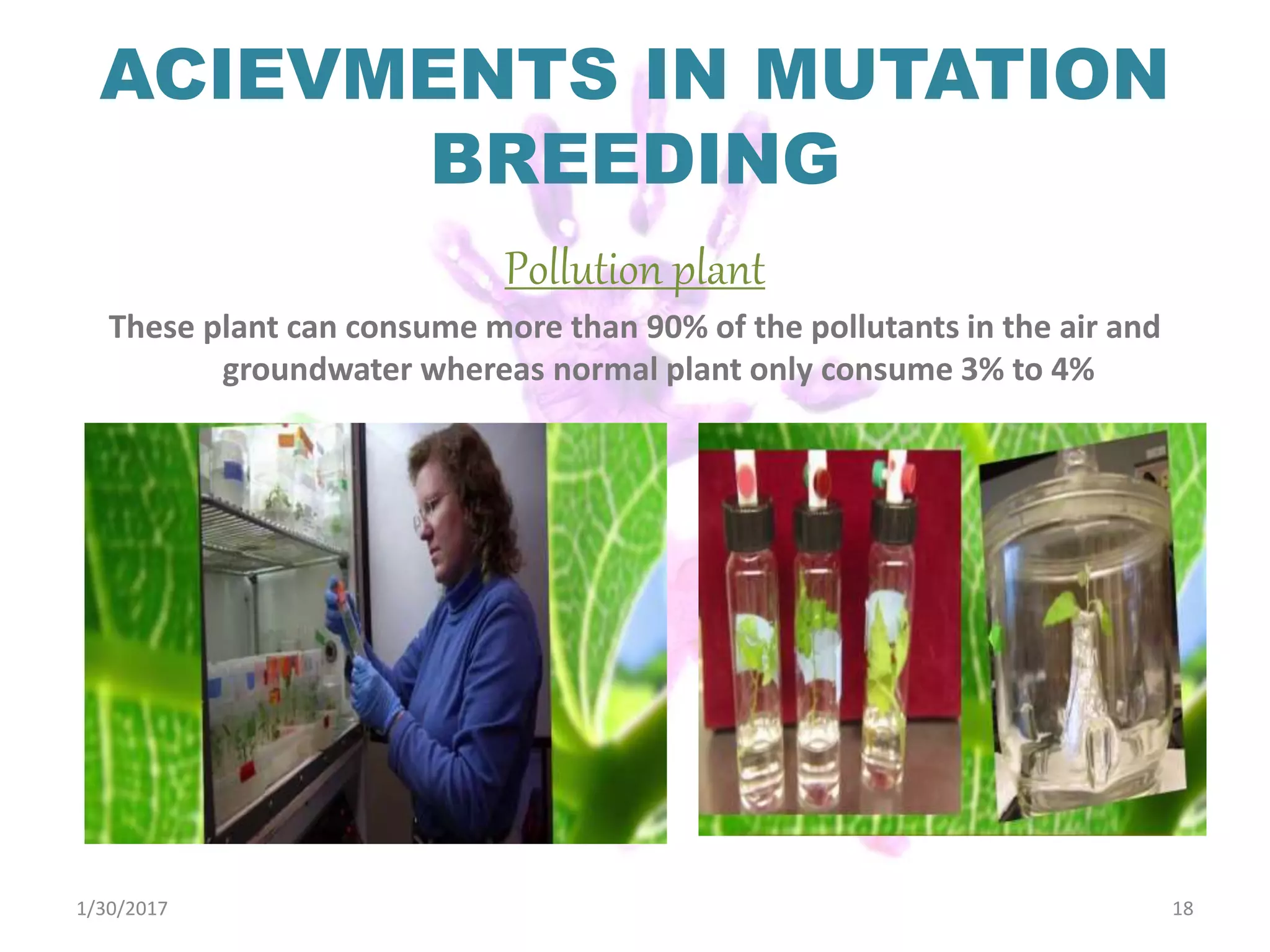 MUTATION BREEDING - A NEW ERA OF SCIENCE | PPT