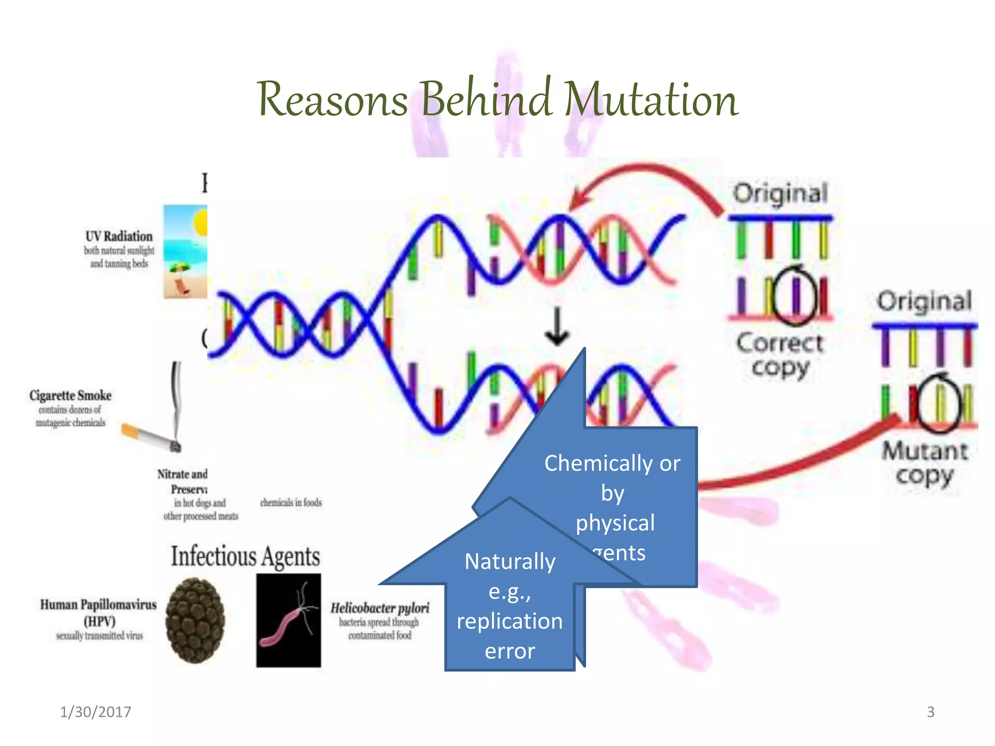 MUTATION BREEDING - A NEW ERA OF SCIENCE | PPT