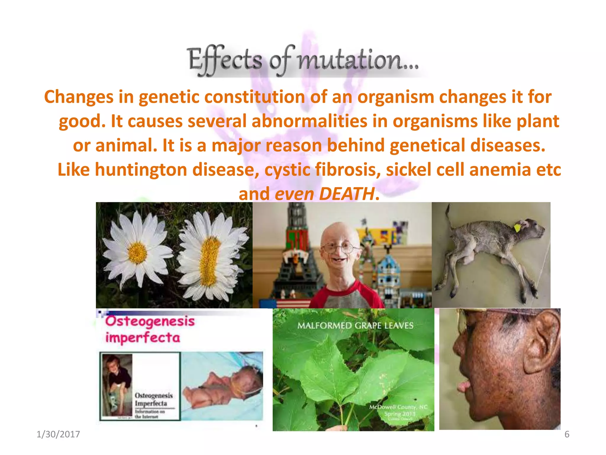 MUTATION BREEDING - A NEW ERA OF SCIENCE | PPT