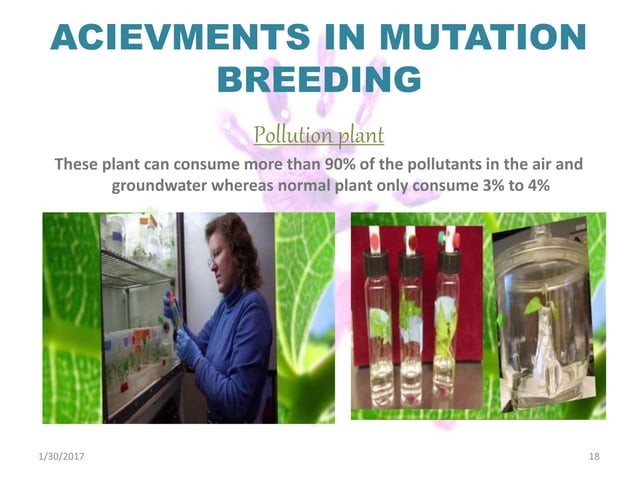 MUTATION BREEDING - A NEW ERA OF SCIENCE | PPT
