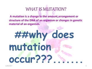 MUTATION BREEDING - A NEW ERA OF SCIENCE | PPTX