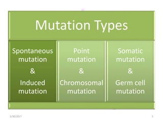 MUTATION BREEDING - A NEW ERA OF SCIENCE | PPTX