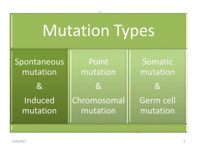 MUTATION BREEDING - A NEW ERA OF SCIENCE | PPT