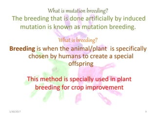 MUTATION BREEDING - A NEW ERA OF SCIENCE | PPT