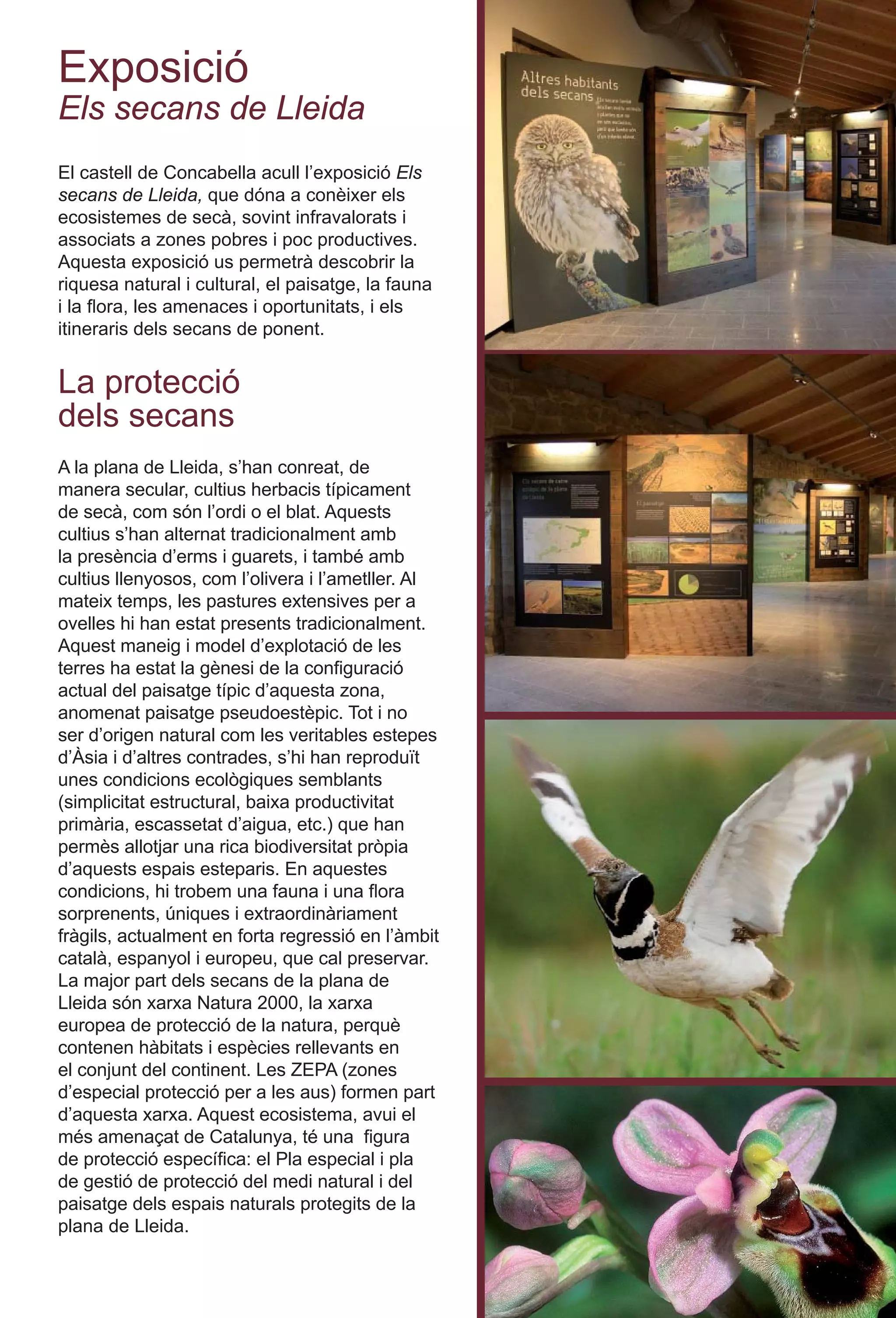 Centre Interpretació¡ dels Secans de Lleida a Concabella | PDF