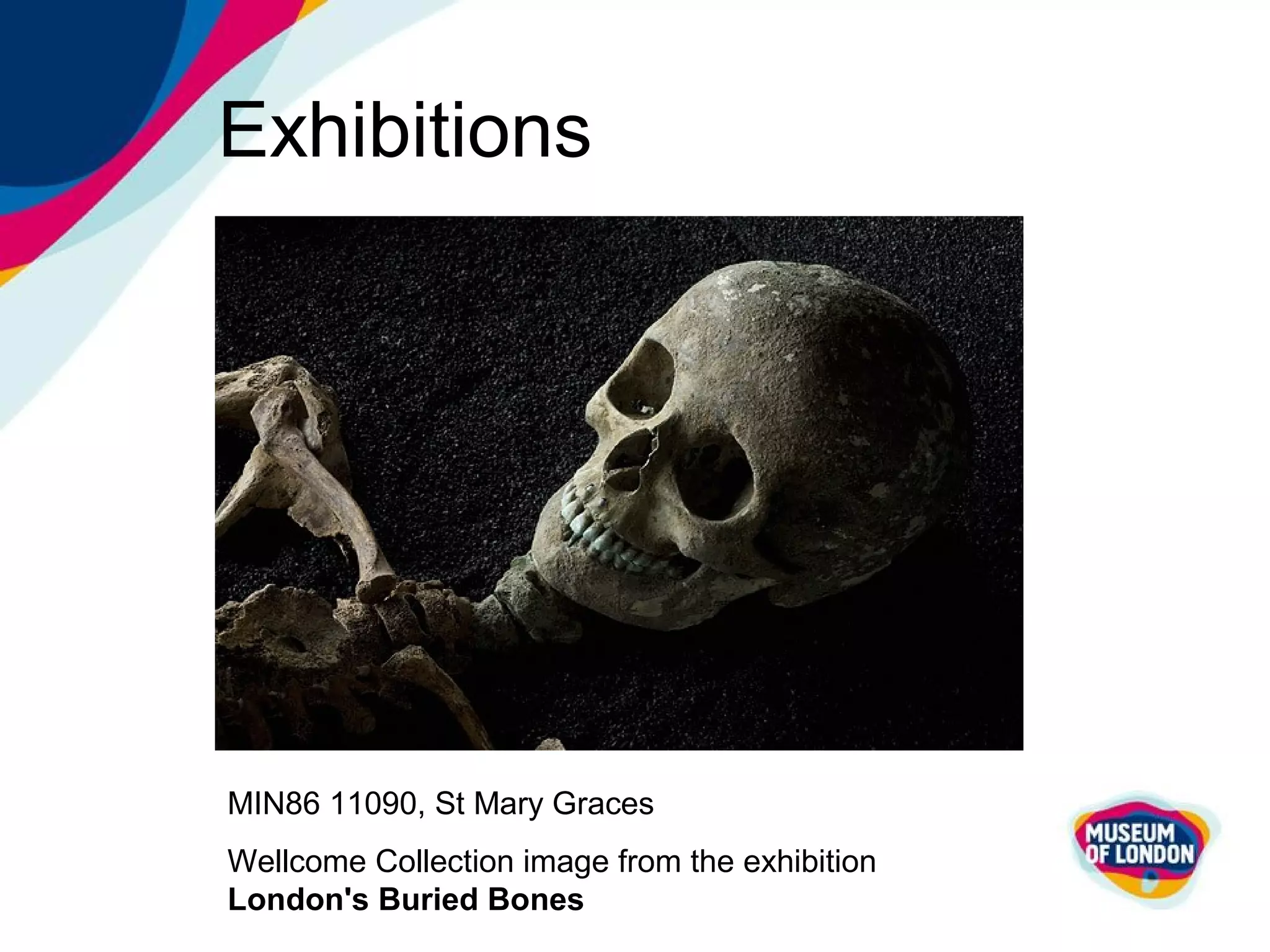 Centre for Human Bioarchaeology | PPT