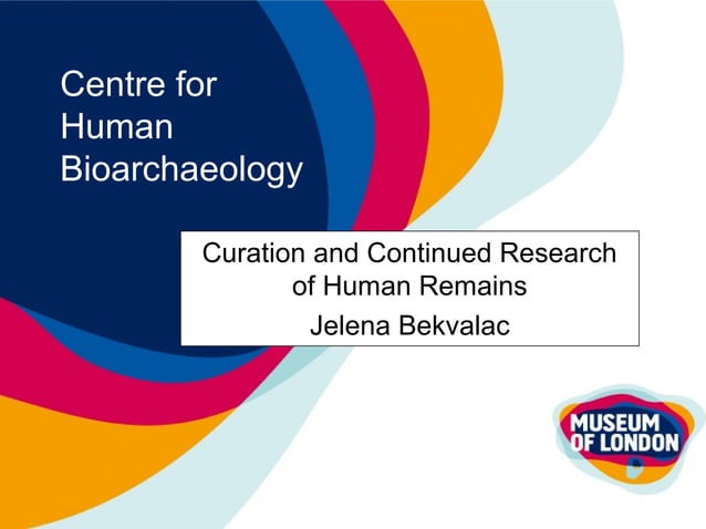 Centre for Human Bioarchaeology | PPT