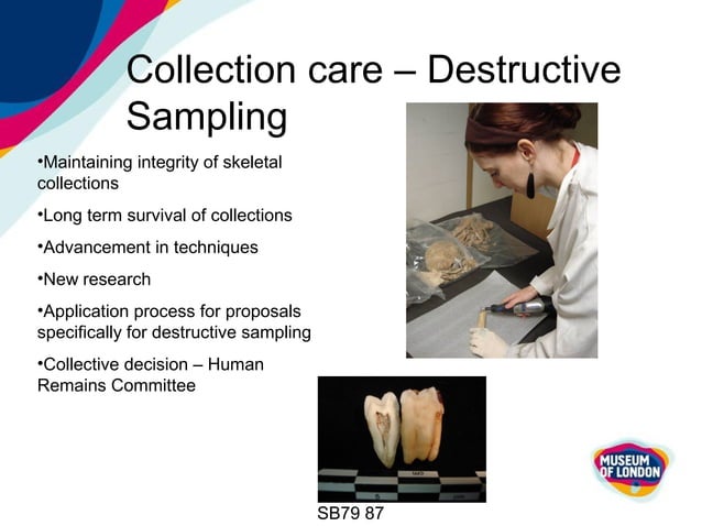 Centre for Human Bioarchaeology | PPT