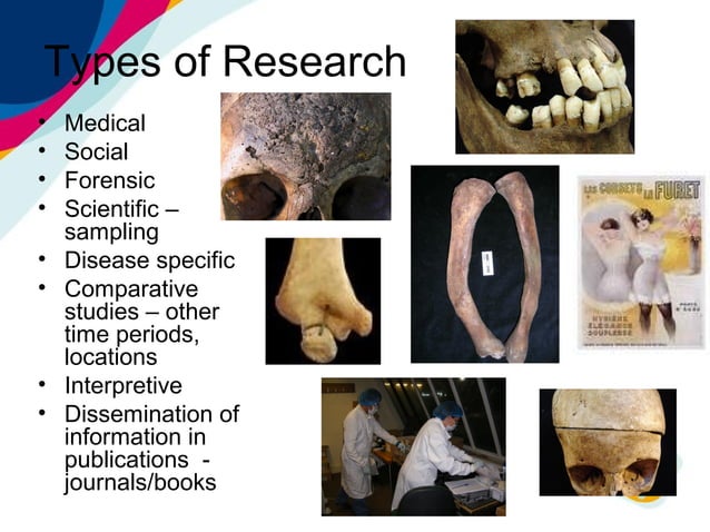 Centre for Human Bioarchaeology | PPT