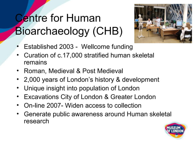 Centre for Human Bioarchaeology | PPT