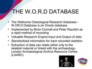 Centre for Human Bioarchaeology | PPT