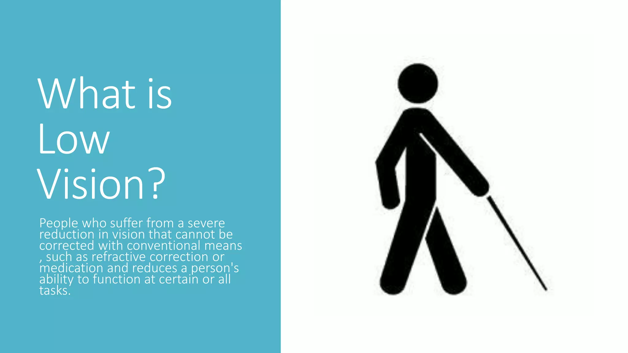 Centre for visually impaired | PDF