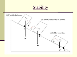 Centre of gravity | PDF
