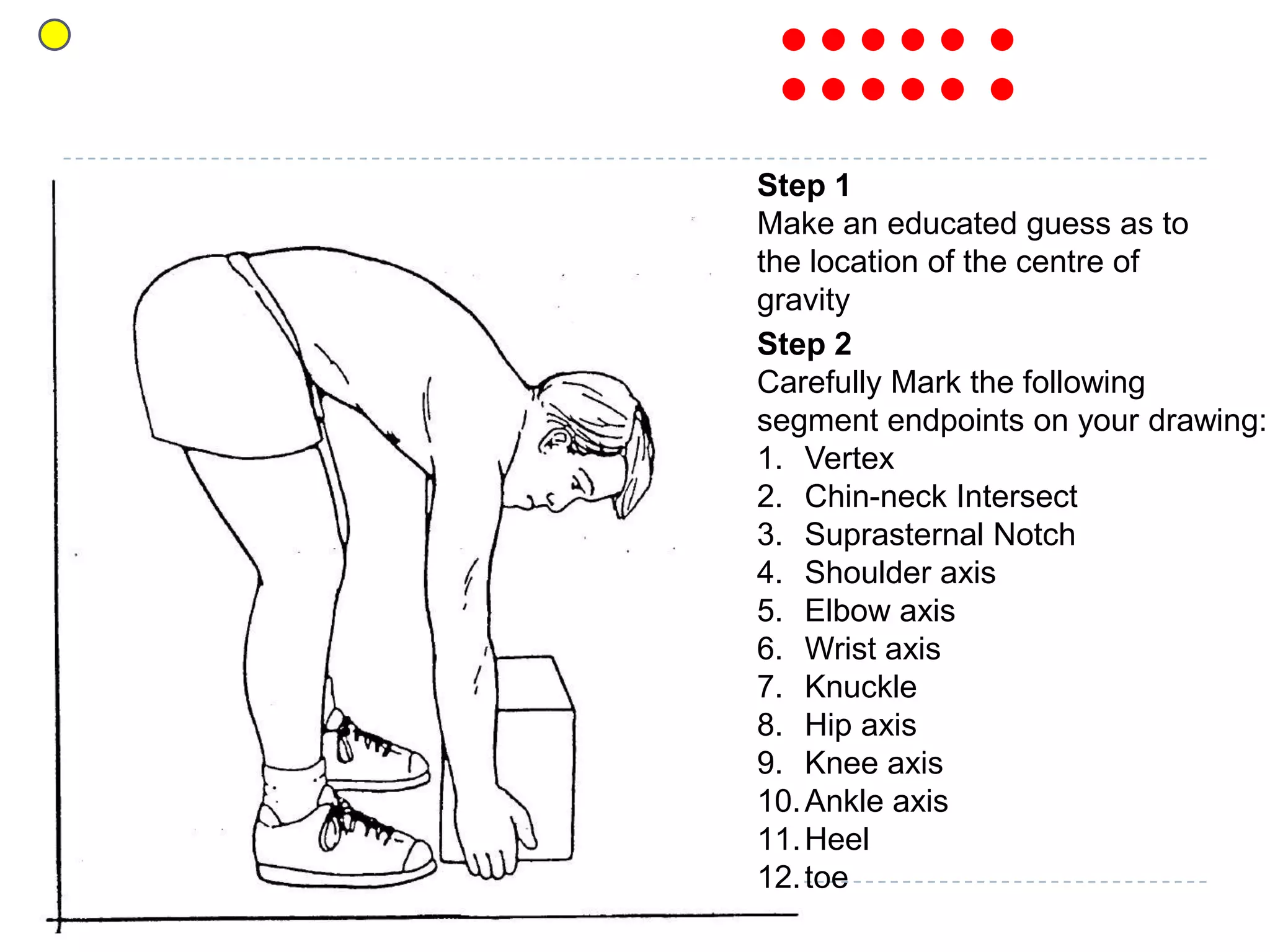 Centre of gravity segmental method | PPTX