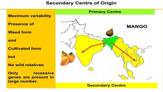 Crop Centre of origin and Diversity | PPTX | Geography | Science
