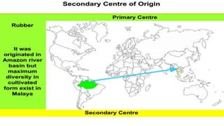 Crop Centre of origin and Diversity | PPTX