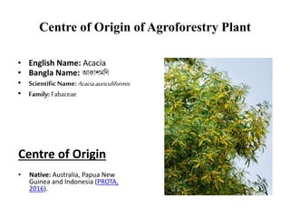 Centre of origin of some agroforestry plants | PPTX