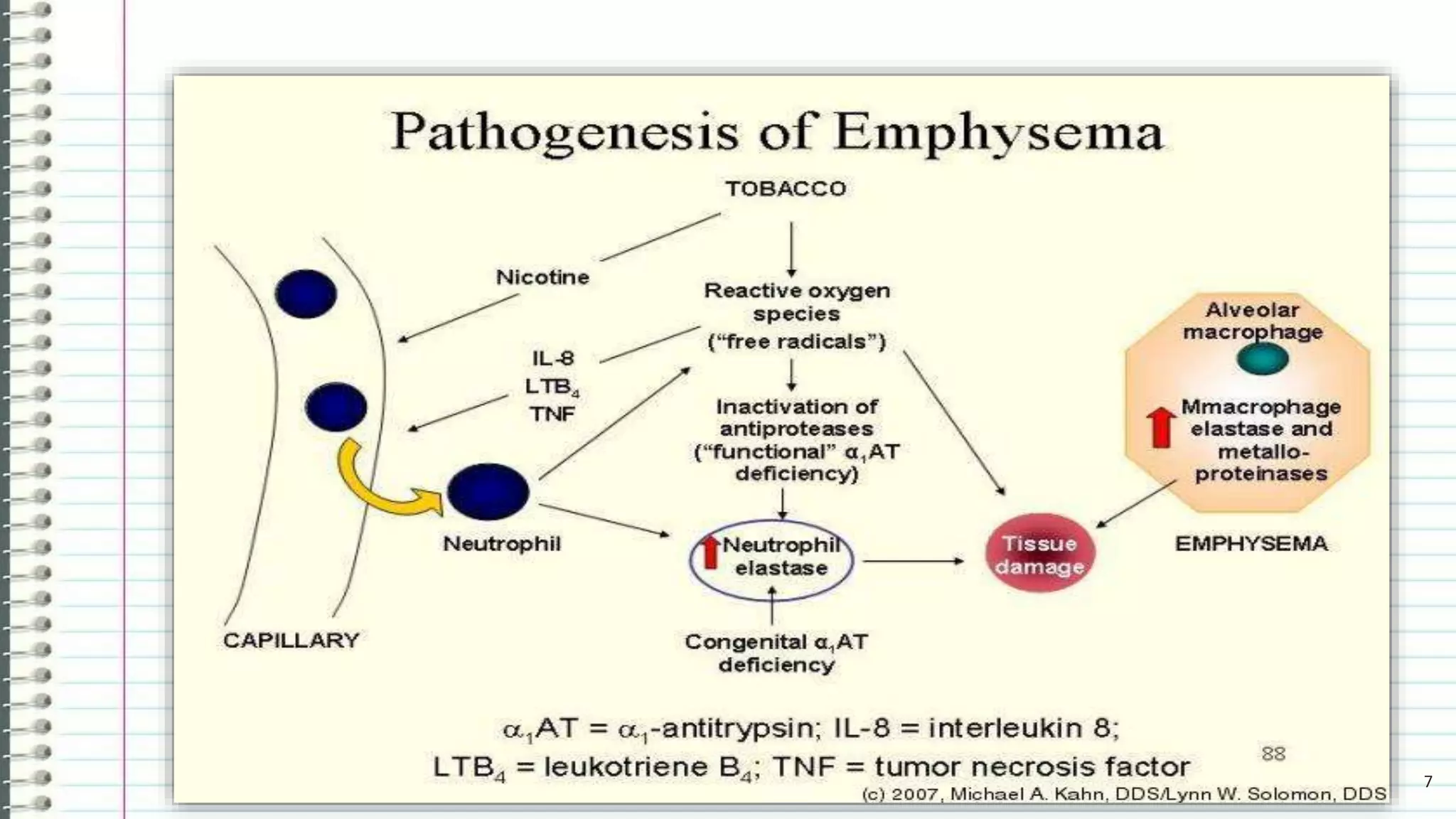 Centriacinar emphysema | PPT