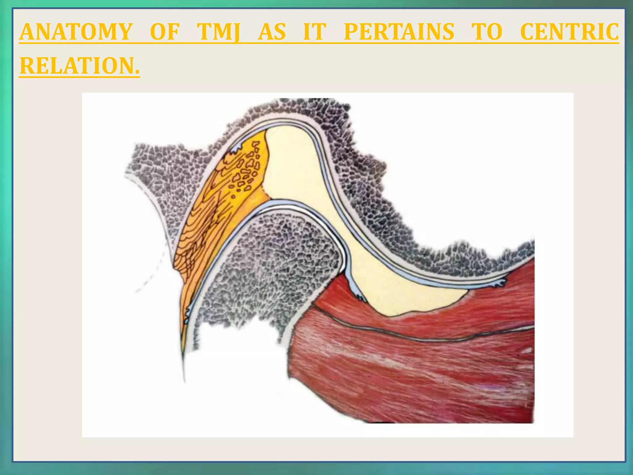 CENTRIC RELATION.pptx