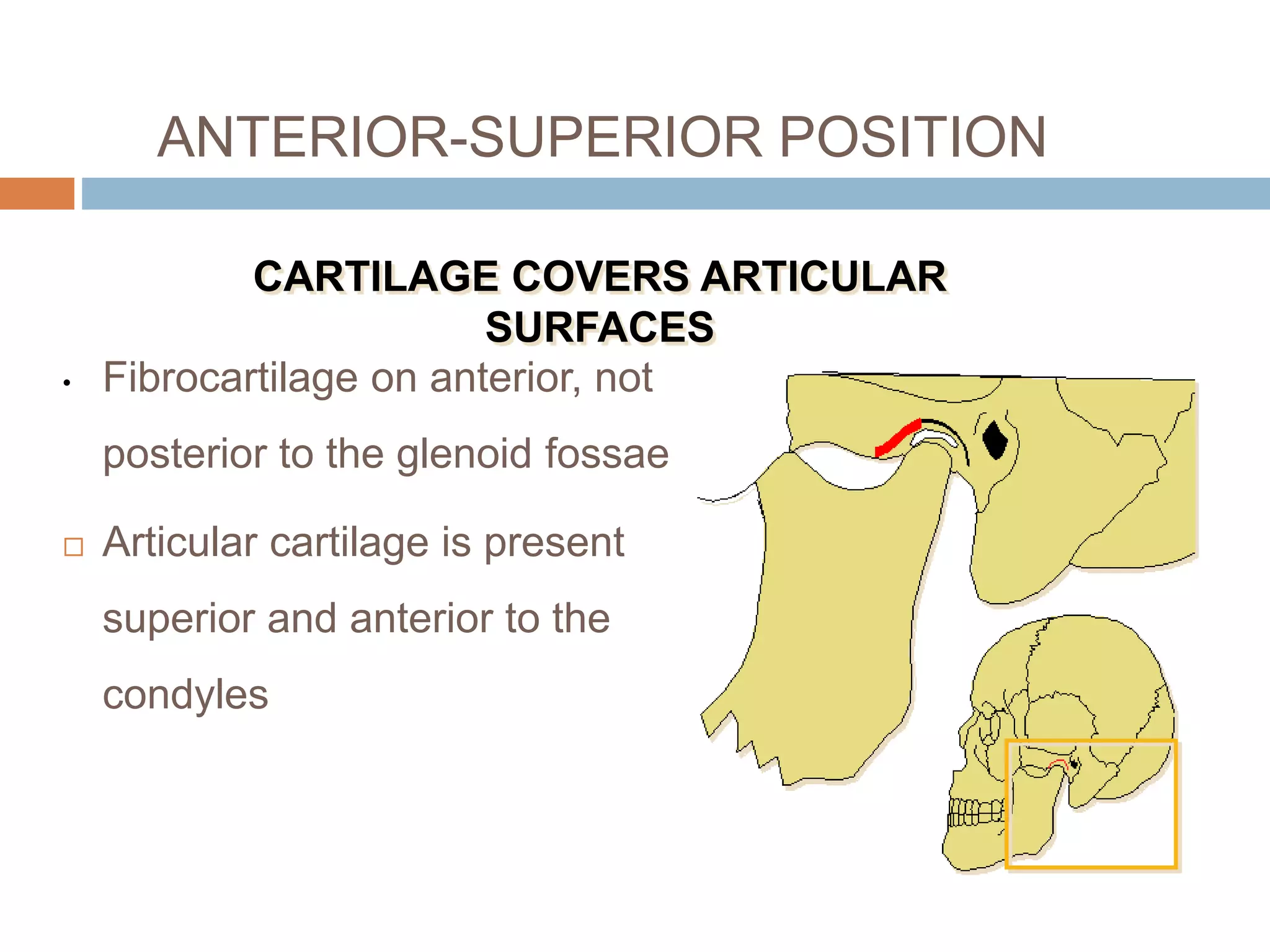Centric relation relevance and role in complete denture construction | PPTX